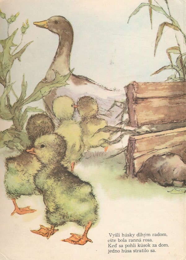 Mária Rázusová-Martáková: ZATÚLANÉ HÚSA | Pod Vŕškom - kníhkupectvo ...