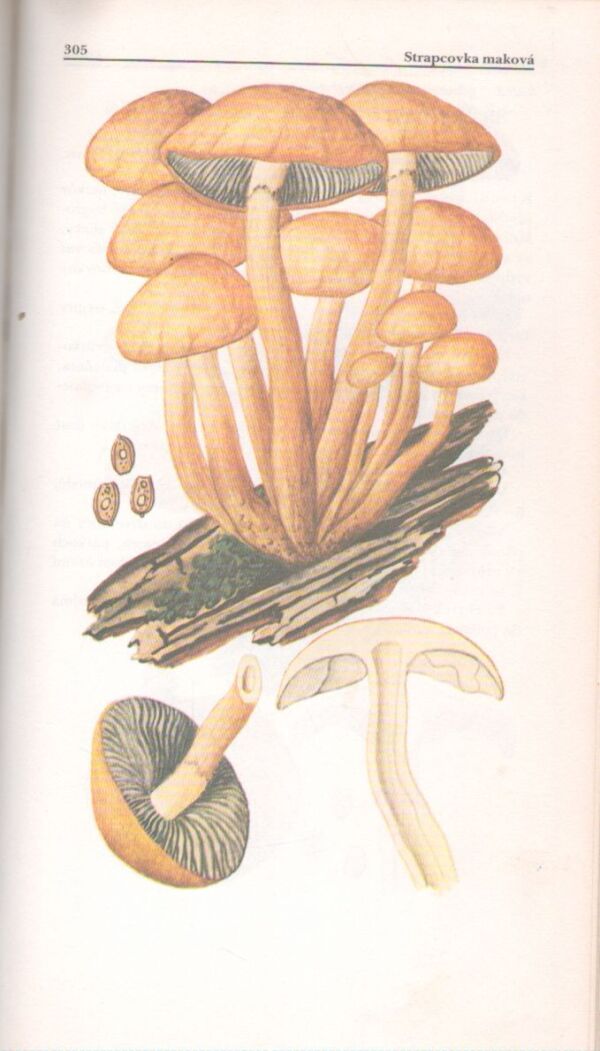 Aurel Dermek: MALÝ ATLAS HÚB | Pod Vŕškom - kníhkupectvo, antikvariát a ...