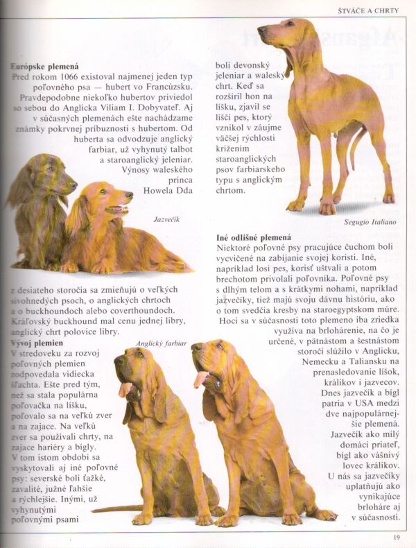 David Taylor: VEĽKÁ KNIHA O PSOCH | Pod Vŕškom - kníhkupectvo, antikvariát a libresso